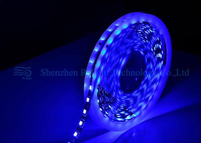 China luz de tira conduzida Rgbw programável 5050 5M de controle remoto multi - cor personalizada especializada à venda