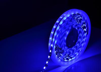 Cina Colore variabile della striscia 4 di SMD 5050 RGB LED in un Natale di una striscia di RGBW che decora in vendita