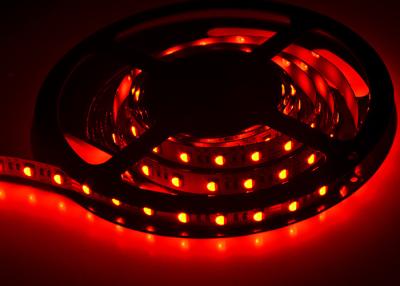 Cina IP20  Dimmable  Flexible  LED  Strip  Lights ,   SMD3528/5050  4.8W  RGB in vendita