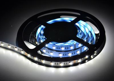 Cina La striscia principale flessibile dell'UL RGBW impermeabilizza il chip 4 in 1 alta luminosità SMD5050 in vendita