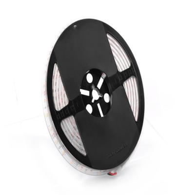 China Cheap Price DC 24V 720 leds High CRI95 SMD Flexible 72w Led Strip Light Te koop