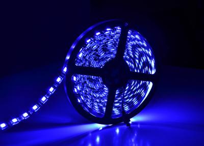 Cina Colori il cambiamento decorando le lampade fluorescenti principali all'aperto Ip20/Ip65 flessibili impermeabili in vendita
