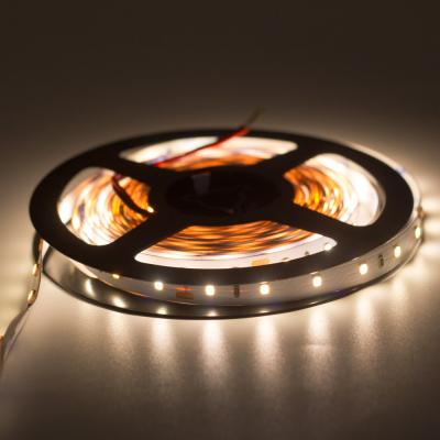 China High efficiency Changeable 60 led m CW flexible 2835 led strip light for sale