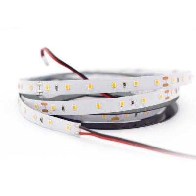 Cina La varia CC 24V/12V di colori SMD3014 con 60/120/180pcs ha condotto per striscia flessibile del tester IP20/IP67/IP68 LED in vendita