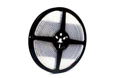 Cina IP65 ha impermeabilizzato la larghezza flessibile bianca cuttable delle strisce CRI80 DC24V 12mm del LED in vendita