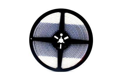 Cina IP65 ha impermeabilizzato la larghezza flessibile bianca cuttable delle strisce CRI80 DC24V 12mm del LED in vendita