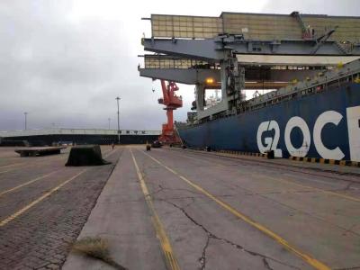 China Best Forwarder China Ocean Shipping Agents To Dunajska Streda From China Qingdao for sale