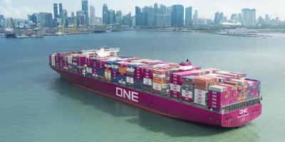 China International FCL Shipping Service From Qingdao To Ancona for sale