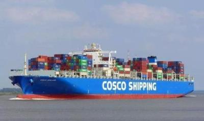 China China To Koper Fcl Ocean Freight , Foreign Trade Full Container Load Shipping for sale