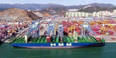 China Shipping Container Transportation by Sea From Qingdao to Damietta for sale