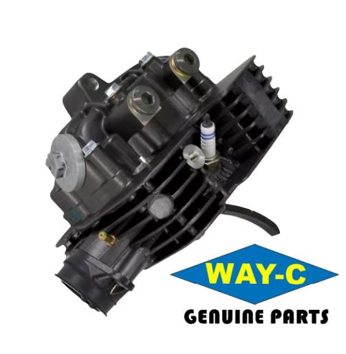 Quality N90105107D Motorcycle Cylinder Head Assy For TVS APACHE RTR 180 for sale