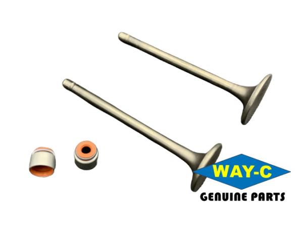 Quality G4320780 Tricycle TUKTUK Engine Valve Kit Intake Exhaust Valve For TVS KING for sale