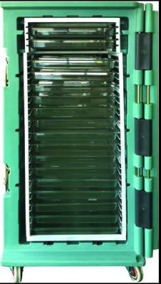 China 900L Insulated Roll Container For Cold Logistics With Thick PU Insulation for sale