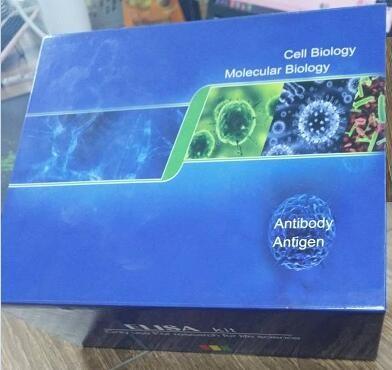 China Mouse VEGF A elisa kit for sale