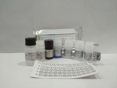 China Human 6-keto-prostaglandin F1a,6-K-PGF1a ELISA Kit elisa test kit  96T/48T for sale