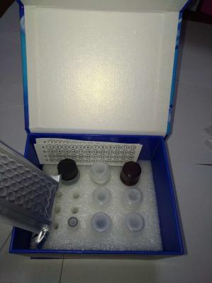 China Rabbit cyclic adenosine monophosphate,cAMP ELISA Kit  96T/48T  Test kit for sale