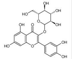 China Analytical  reference  Quercetin 3-β-D-glucoside cas:482-35-9 high purity  in store for sale