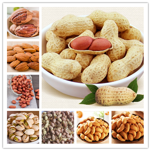 SUS304 Peanut Air Cooling System Baked Roasted Seeds Food Cooler Peanut Cooling Conveyor 1