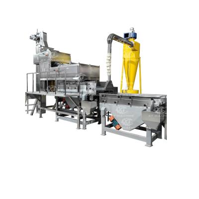 China Aardnoten hakmachine Aardnoten vermalen machine Hoog automatische graad Uniform hob snijmes hakken 5 graad for sale
