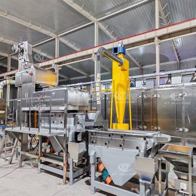 China Máquina picadora de nueces de 500 kg/h para procesamiento de maní, anacardos y pistachos en venta