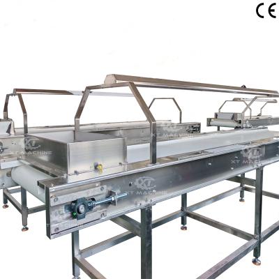 China SUS304 Food Grade Automatic Conveyor Belt for Food Processing Plants for sale