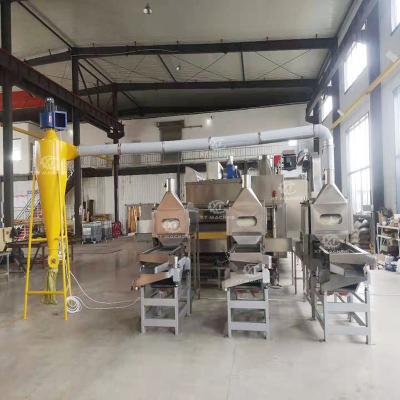 China Stainless Steel 304 Peanut Slitting and Blanching Machine for Blanched Peanut Output in Food Application for sale