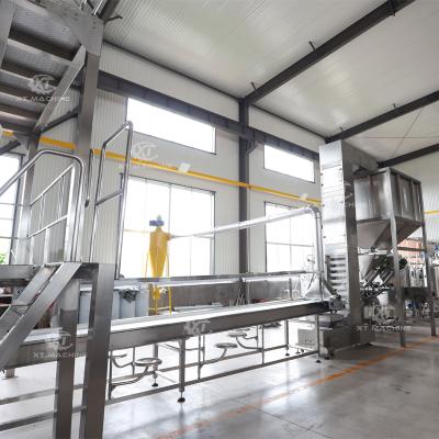 中国 SUS304 モバイル産業用コンベアベルト (ピーナッツ加工用) 販売のため