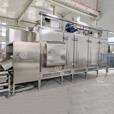 Cina Macchina per la tostatura continua di frutta secca da 300 kg/h per la trasformazione alimentare in vendita