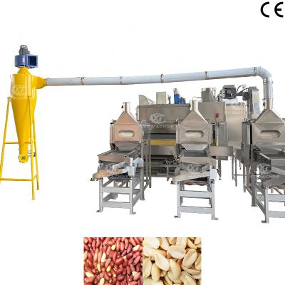 China High Quality 500-1000kg/h SUS304 Peanut Cutting and Blanching Machine for Nut Processing Equipment for sale