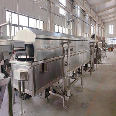 Cina Linea di produzione automatica completa per rivestimento e frittura di arachidi, impianto di produzione per frittura e rivestimento di frutta secca in vendita
