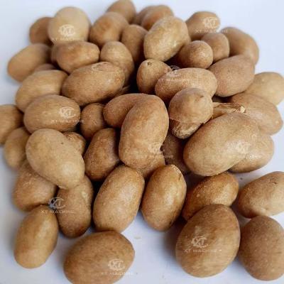 China 500-1000kg/h Peanut Coating Machine with Uniform Coating and Even Baking for Cost-Effective Nut Processing for sale