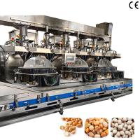 China PLC Control System High Production Efficiency Covered Peanut Coating Machine and Nut Processing Machine for sale