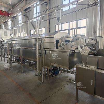 Cina Macchina per friggere arachidi e cereali croccanti in acciaio inossidabile con capacità elevata e certificazione CE in vendita