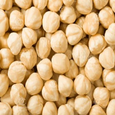 Cina 500 kg/h Macchina per sbiancare le arachidi in acciaio inossidabile Macchina per pelare le noci in vendita