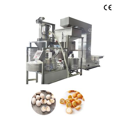 China Fully Automatic Nut Coating Equipment Covered Peanut Making Machine with PLC Control For Nuts Coating for sale