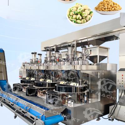 China High Output Multifunctional Automatic Peanut Coating Machine for Nuts and Seeds for sale