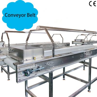 China Food Grade Adjustable Speed SUS304 Automatic Conveyor Belt Picking Belt for Food Processing for sale