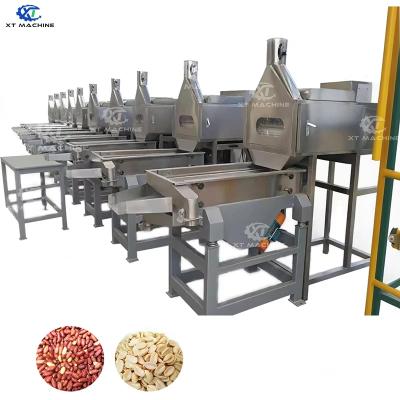 China PLC-Controlled Split Peanut Blanching Machine with 800-1000kg/h Capacity and 98-99% Peeling Rate for sale