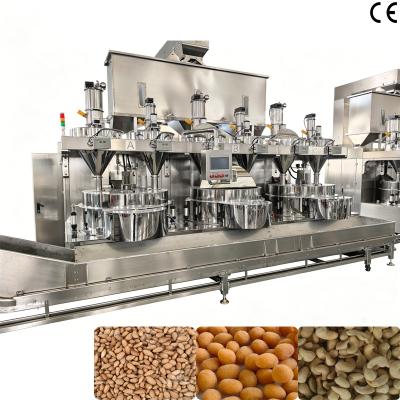 China Automatic Nut Coating Machine with PLC Control System for 200kg/h-1000kg/h Peanut Cashew Nuts Coating Machine for sale
