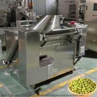 China Fully Automatic Fried Nut Snack Making Machine SS304 Frying Production Line for Nut Processing Plants for sale
