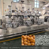 China PLC Control System High Production Efficiency Covered Peanut Making Machine and Nut Processing Machine for sale