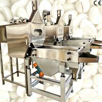 China Split Peanut Kernel Blanching Machine High Accuracy Peanut Slitting and Blanching Machine for Peanut Processing for sale