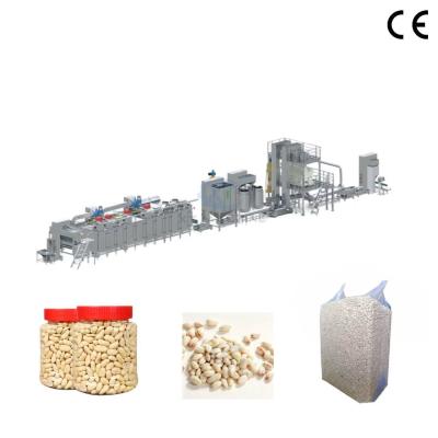 China High Output Full Automatic Blanched Peanut Production Line Multifunctional Nut Kernel Skin Removing Processing Equipment for sale