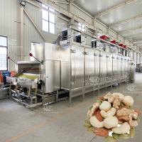 China Food Grade Large Capacity Continuous Nuts Roaster with PLC Control Cashew Nut Roasting Machine for Nuts Processing Plants for sale