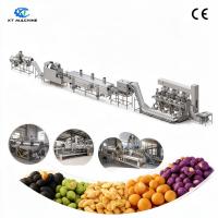 China Snack Food Coated Peanut Making Line XT Machine Auto Fried Nut Coating System Full Automatic Nut Processing Equipment for sale