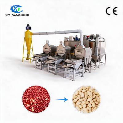 China Groundnut Kernel Skin Remover Machine Automatic Dry Blanching Equipment with Low Damage for Peanut Fragment Production for sale