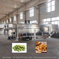 China High Efficiency Automatic Snack Nut Roasting Machine 300-500kg/h Complete Salted Nut Roasting Processing Line for sale