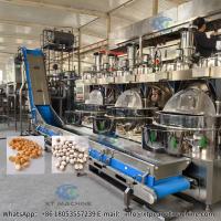 China Full Auto Nut Coating Machine Customizable Sugar Coating Pan Peanut Coating Unit SUS304 for Confectionery Processing for sale