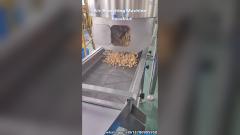 How to make blanched nuts-peanut/hazelnut/pistachio? Hot air blancher help improve efficiency
