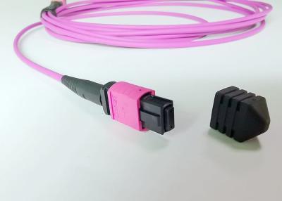 Cina Protocolli porpora 40G/100G del cavo della toppa di OM4 MPO per la rete di telecomunicazione in vendita
